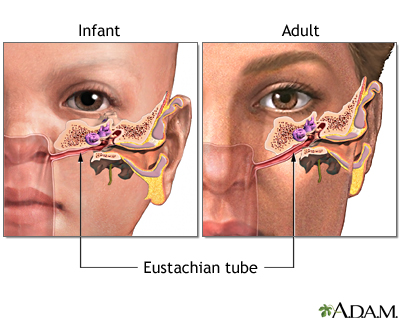 Assessment Basics for the School Nurse: Ears – School Nurse Headquarters